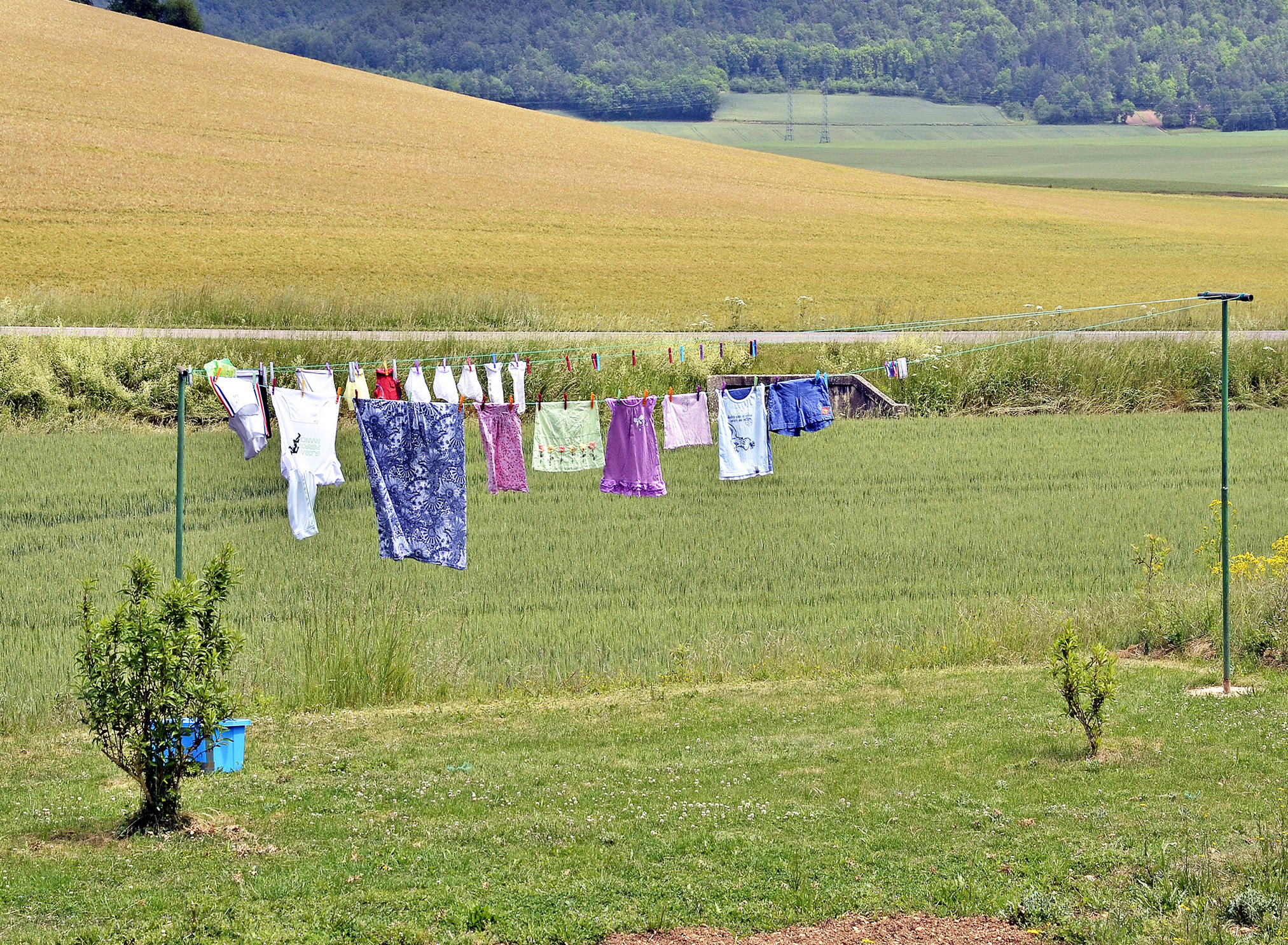 A Common Outdoor Activity | Shutterbug